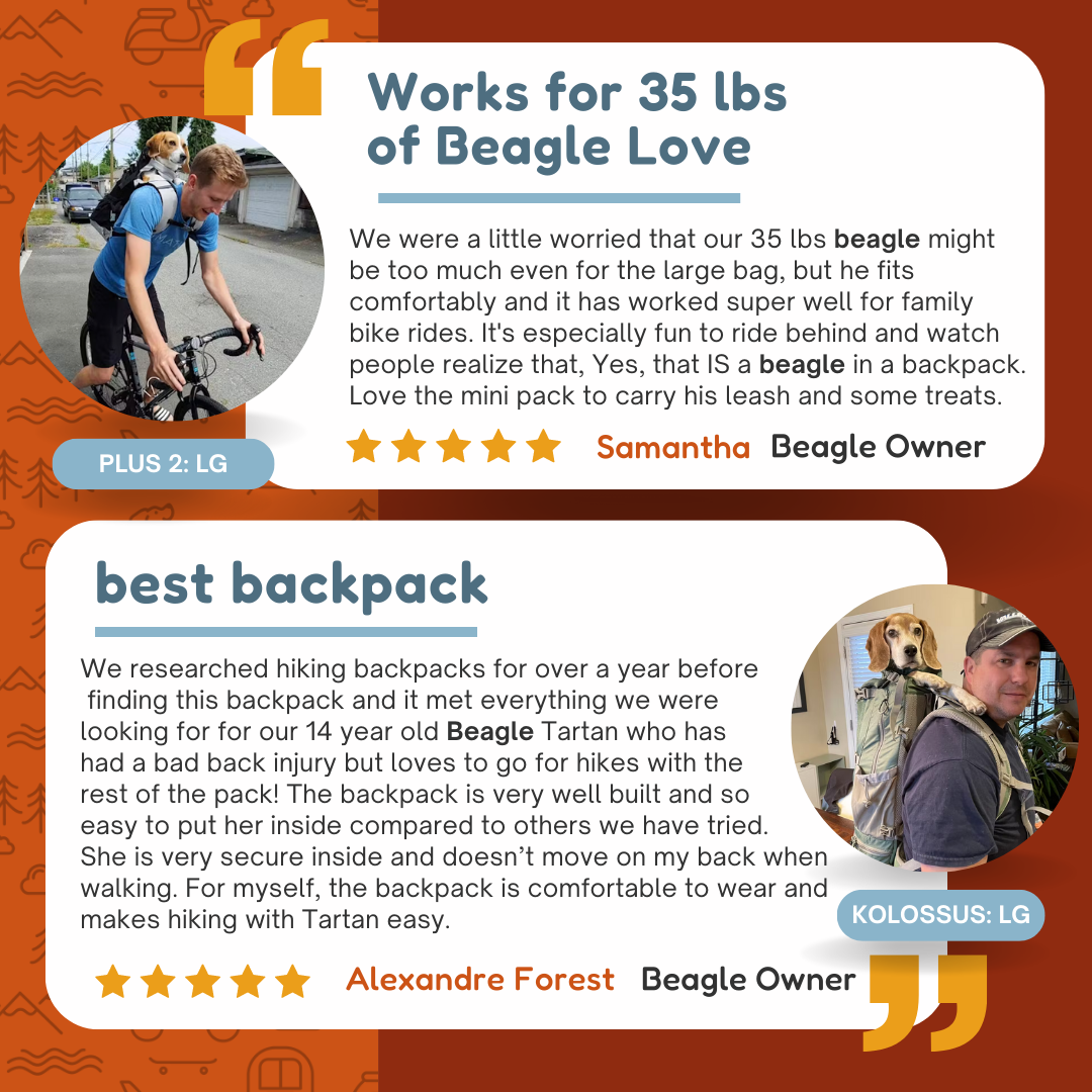 The Ultimate Guide to Beagle Backpack Carriers – K9 Sport Sack