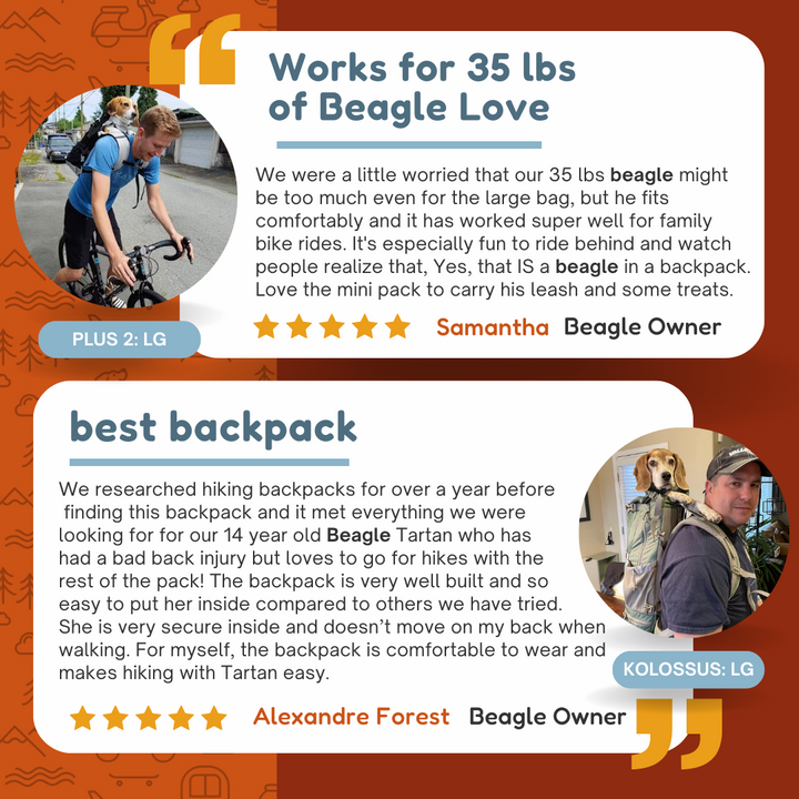 The Ultimate Guide to Beagle Backpack Carriers – K9 Sport Sack