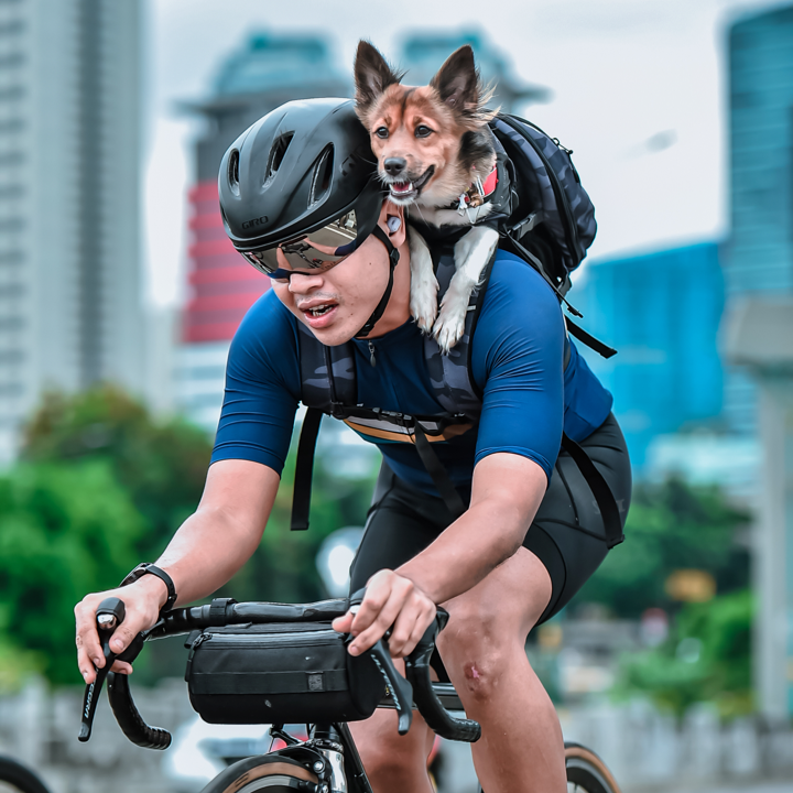 Embrace an Active Pet Lifestyle for Happier Pets! – K9 Sport Sack