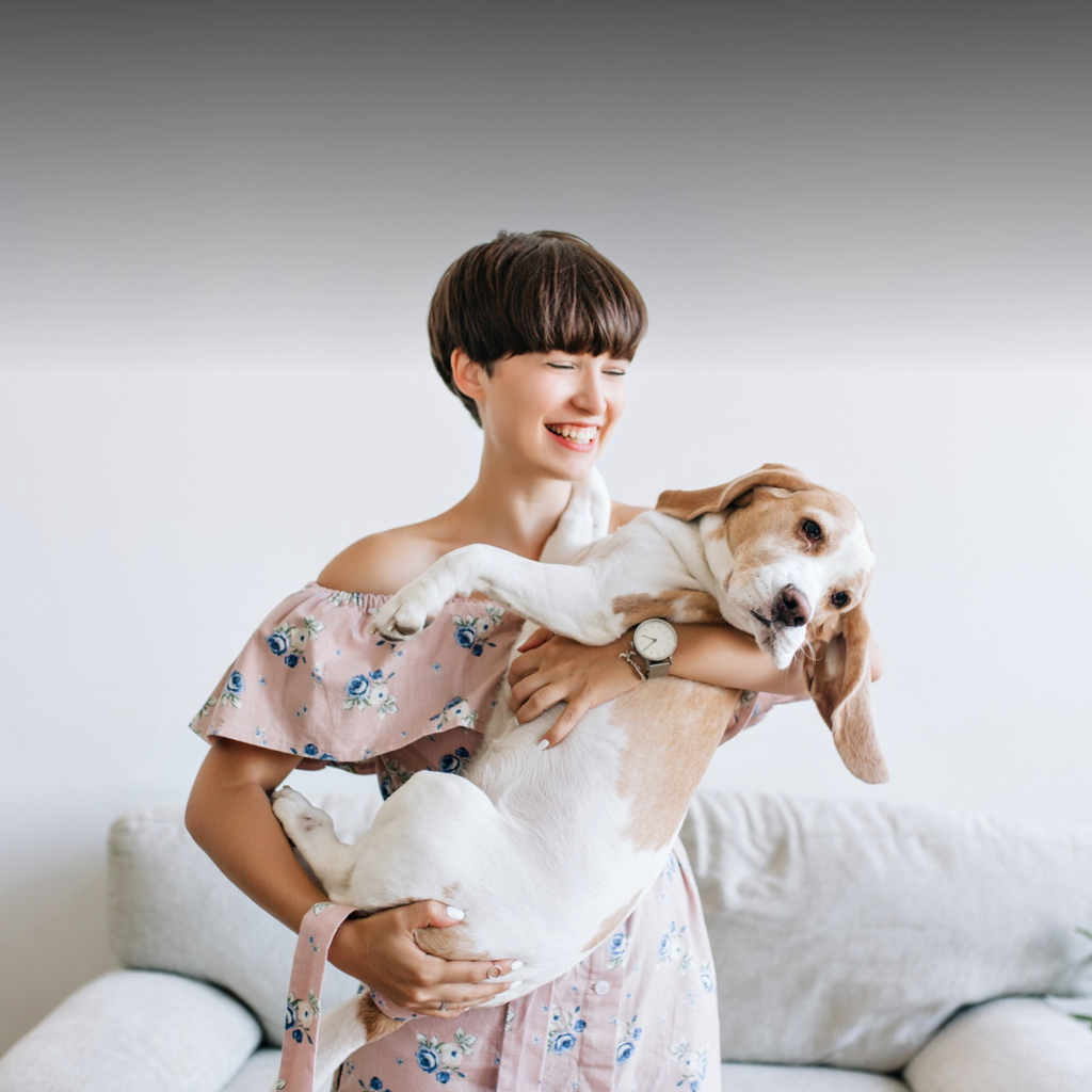 How Dogs Help Students Build Important Life Skills – K9 Sport Sack