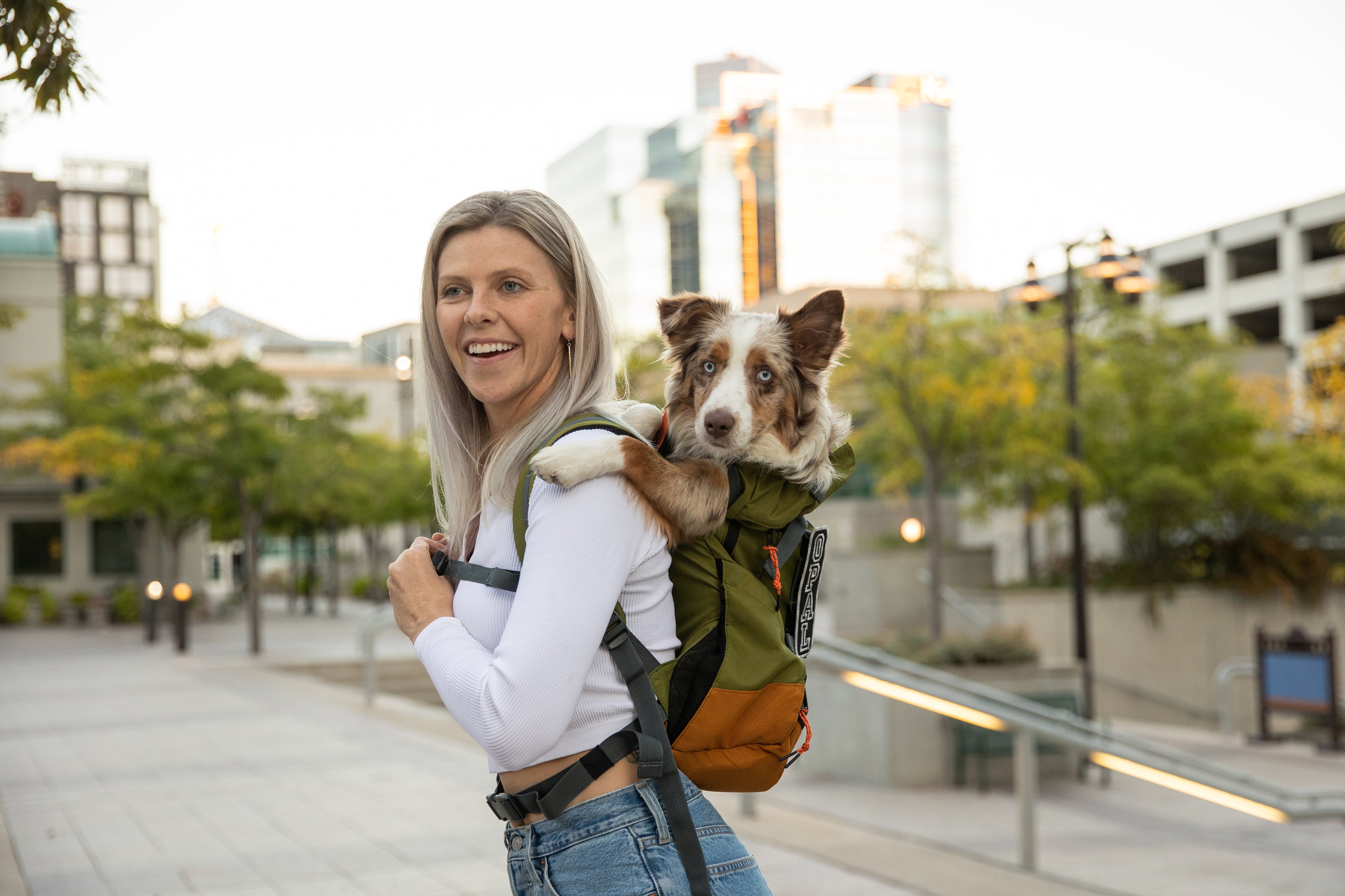 The Ultimate Guide to Boxer Dog Backpack Carriers – K9 Sport Sack