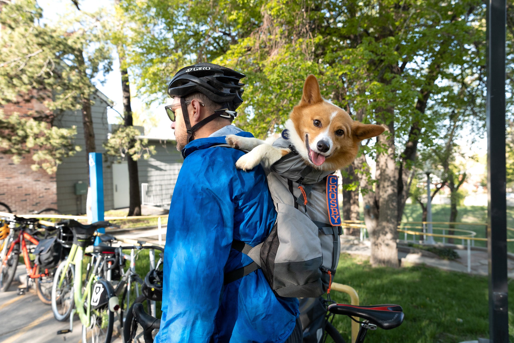 Guide to Choosing an Animal Carrier Backpack – K9 Sport Sack