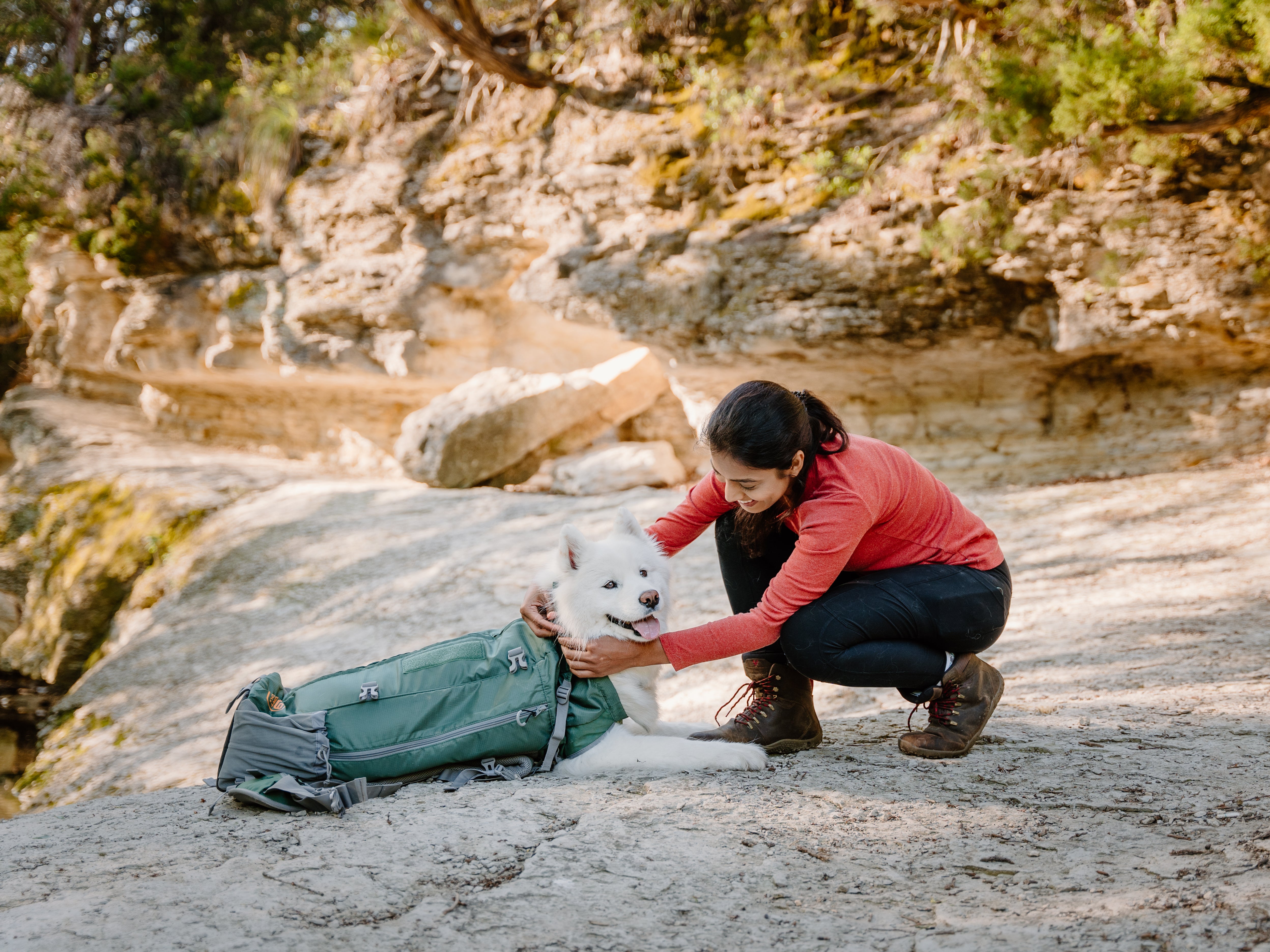 The Best Small Dog Hiking Backpacks for Your Next Adventure – K9 Sport Sack