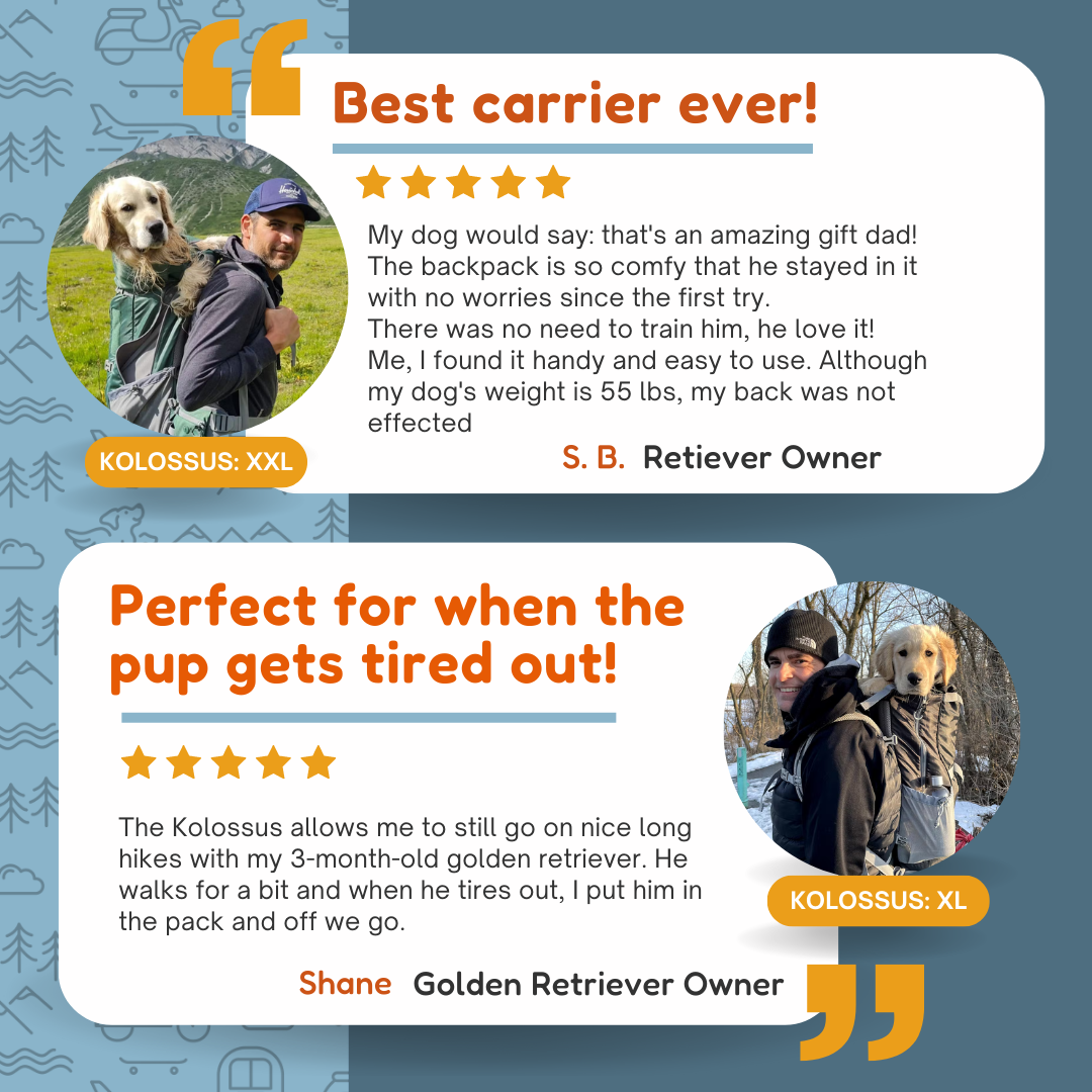 The Best German Shepherd Backpack Carrier for Traveling with Your Pup ...