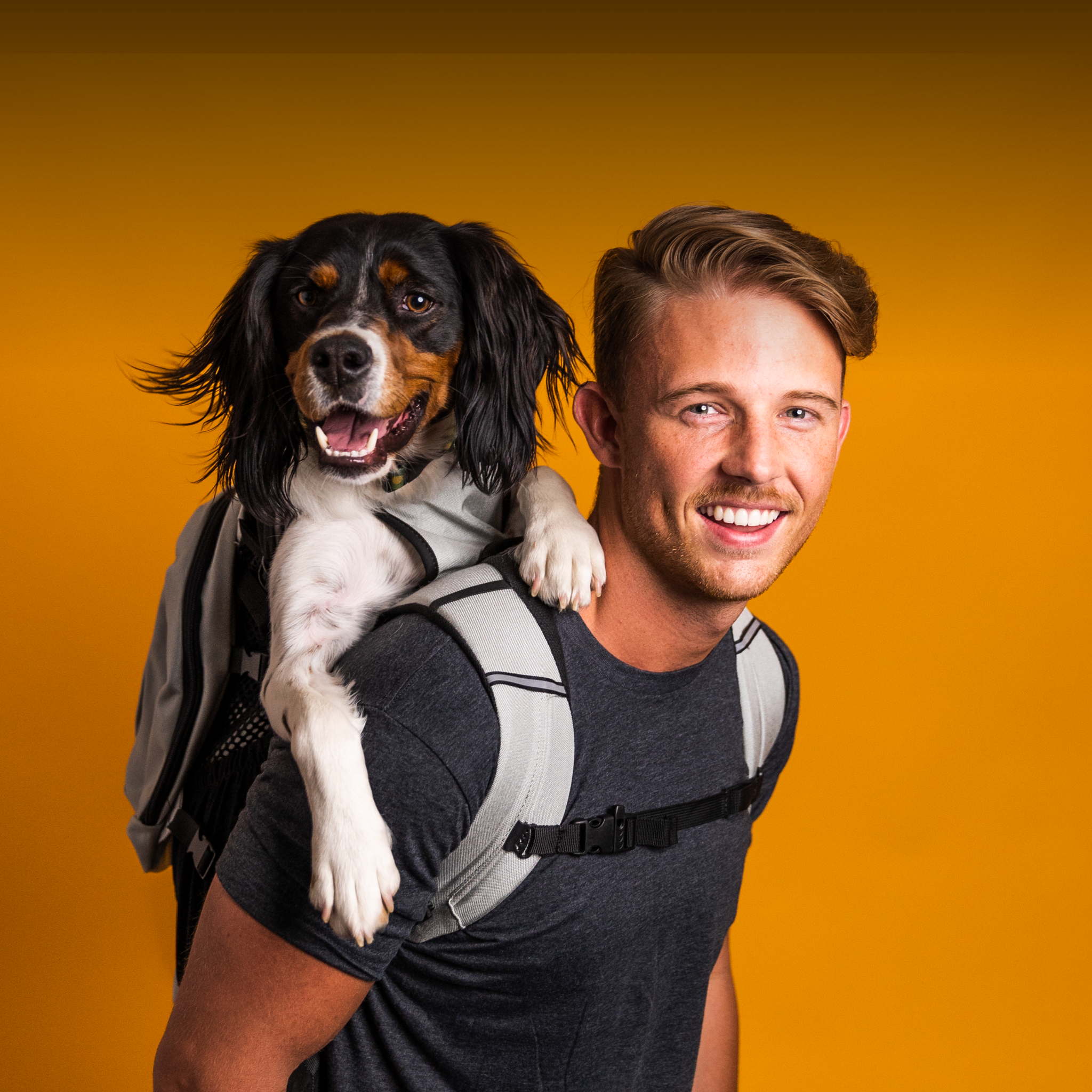 Tips and Tricks While Using Your K9 Sport Sack Carrier (Updated 2021)