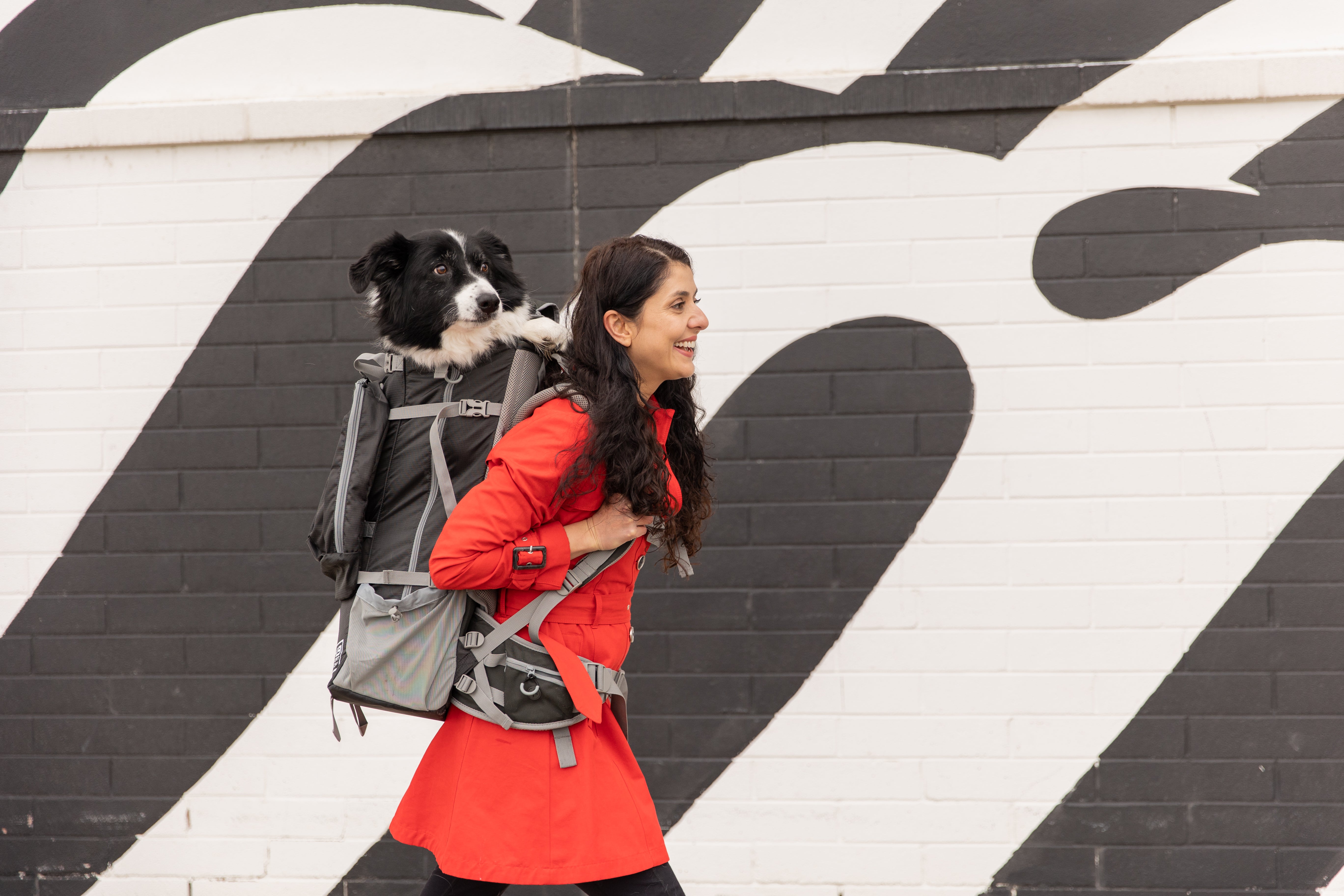 The Ultimate Guide to Puppy Pouches – K9 Sport Sack