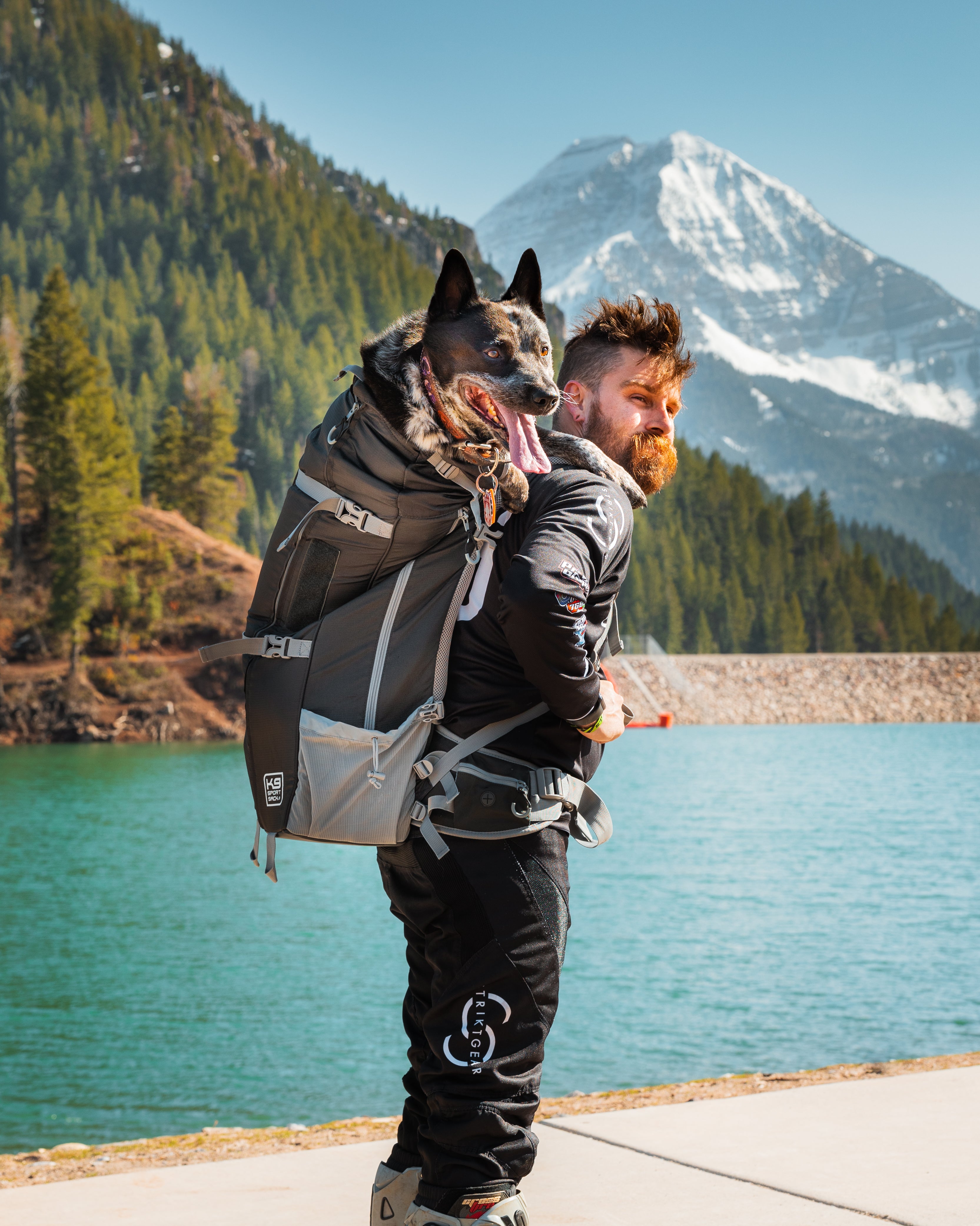 The Ultimate Guide to Dog Bjorns – K9 Sport Sack