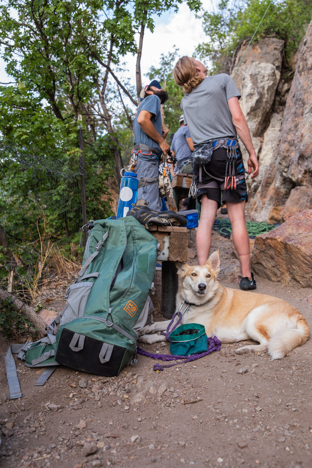 The Ultimate Guide to Great Dane Backpack Carriers – K9 Sport Sack