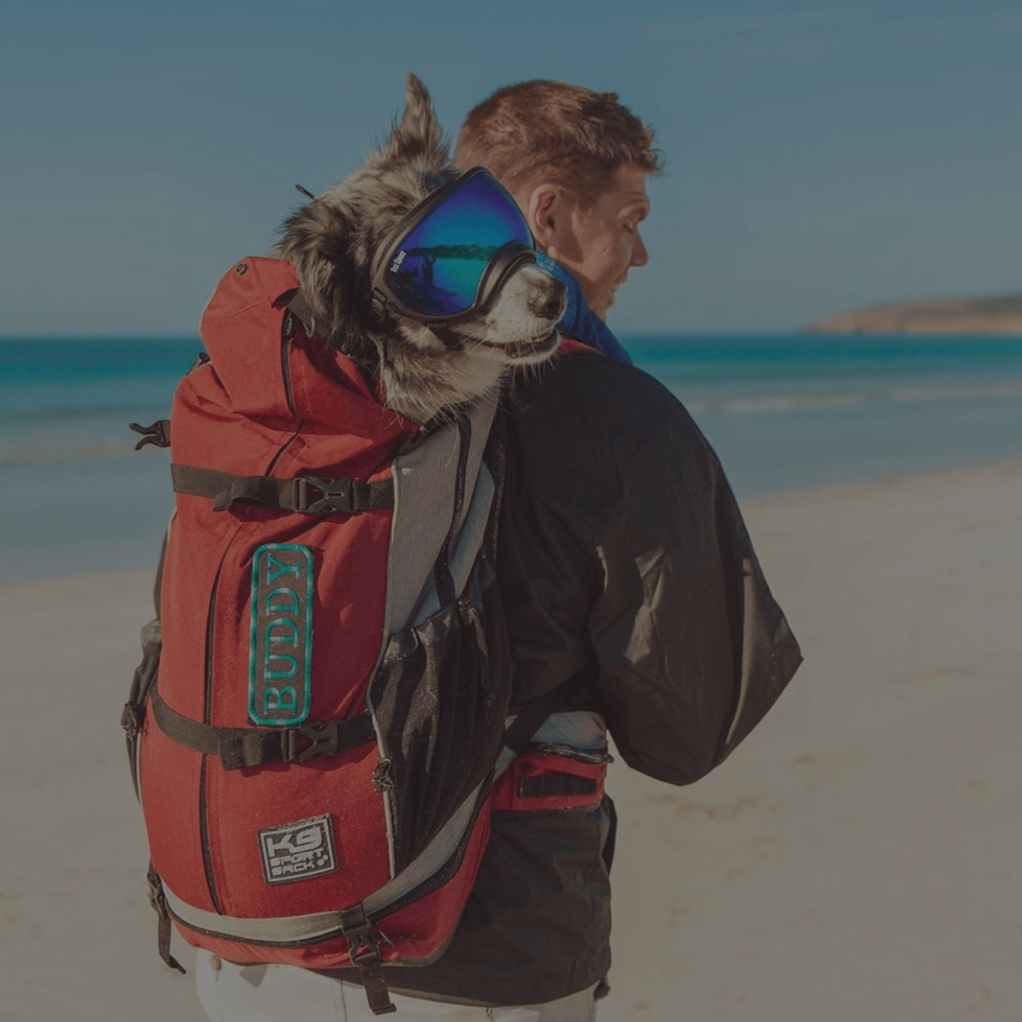 Accessories – K9 Sport Sack