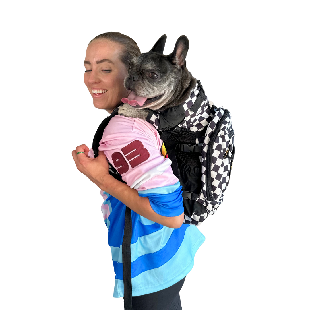 Best Dog Backpack Carriers Vet-Approved | K9 Sport Sack