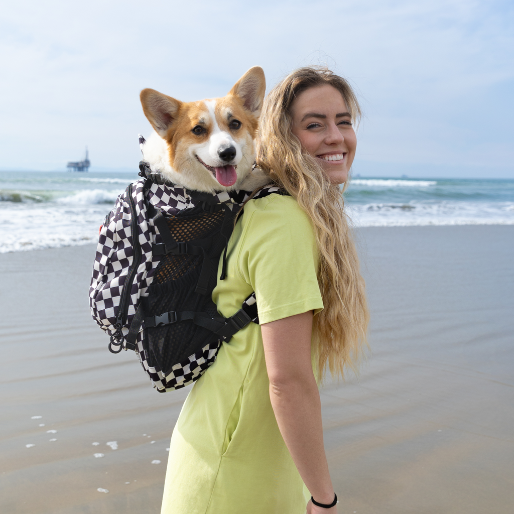 Best Dog Backpack Carriers Vet-Approved | K9 Sport Sack