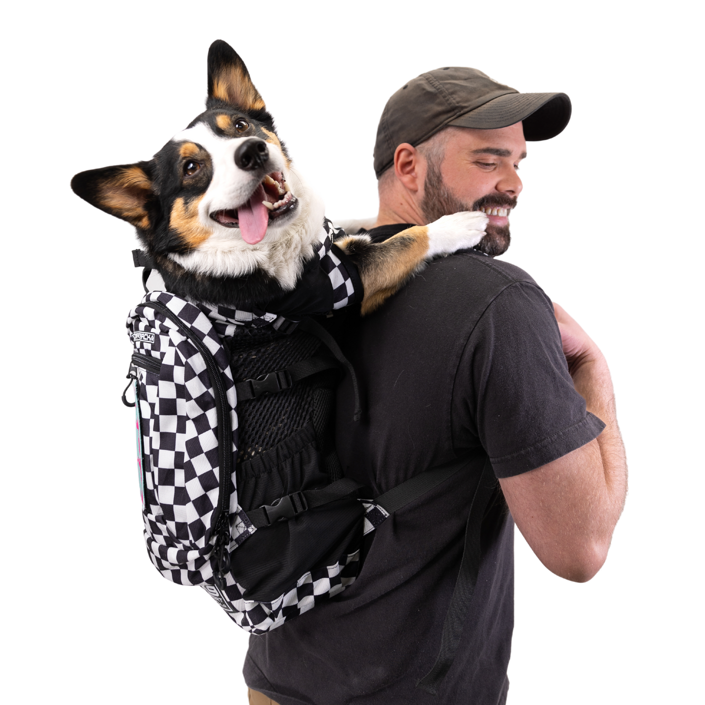 Best Dog Backpack Carriers Vet-Approved | K9 Sport Sack