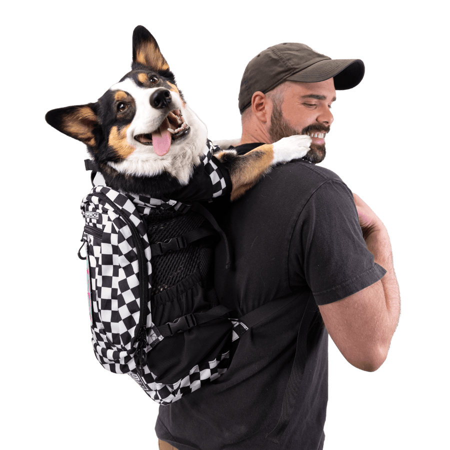 Best Dog Backpack Carriers Vet-Approved | K9 Sport Sack
