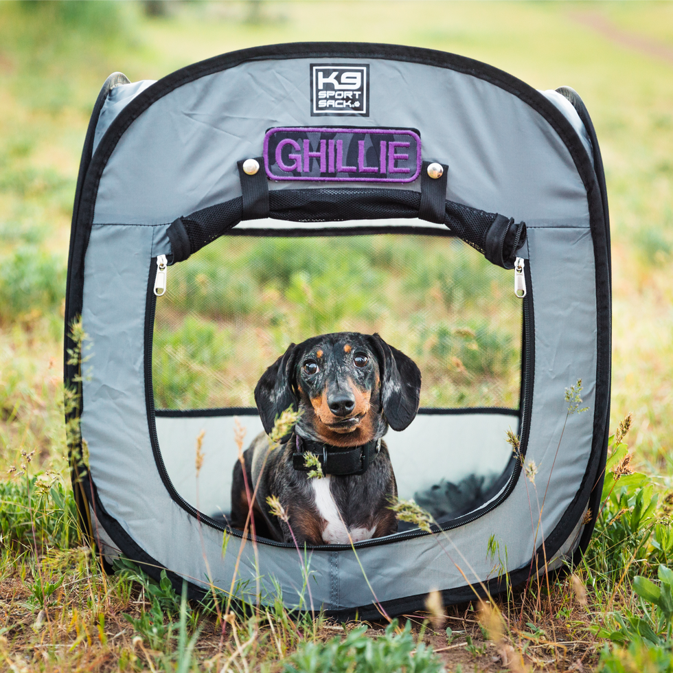 K9 Kennel Pop Up Dog Tent {Large & Small Sizes} – K9 Sport Sack