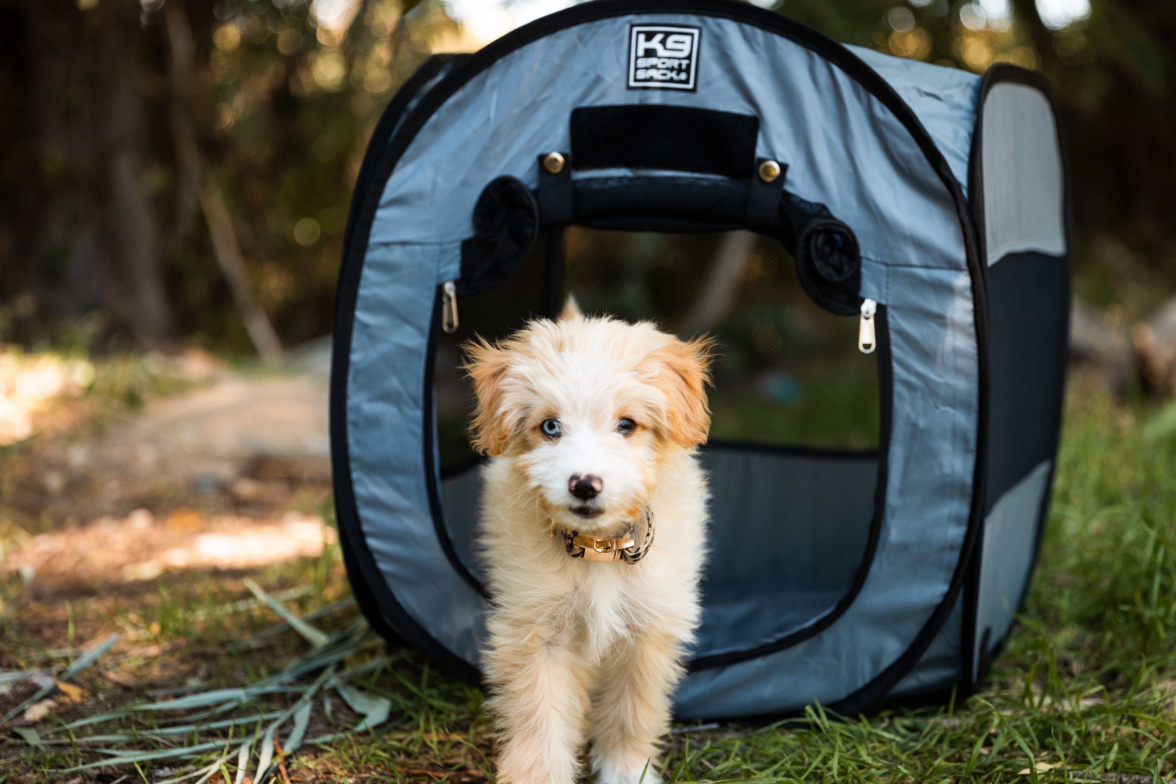 Dog Essentials – K9 Sport Sack
