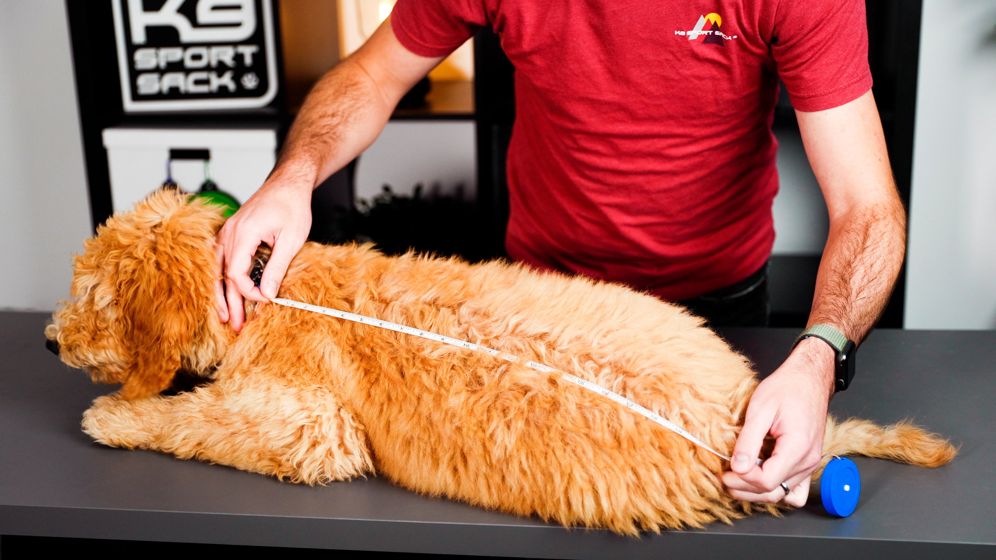 Sizing | K9 Sport Sack