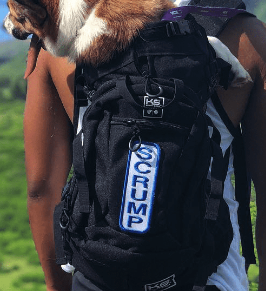 Custom K9 Patches | K9 Sport Sack